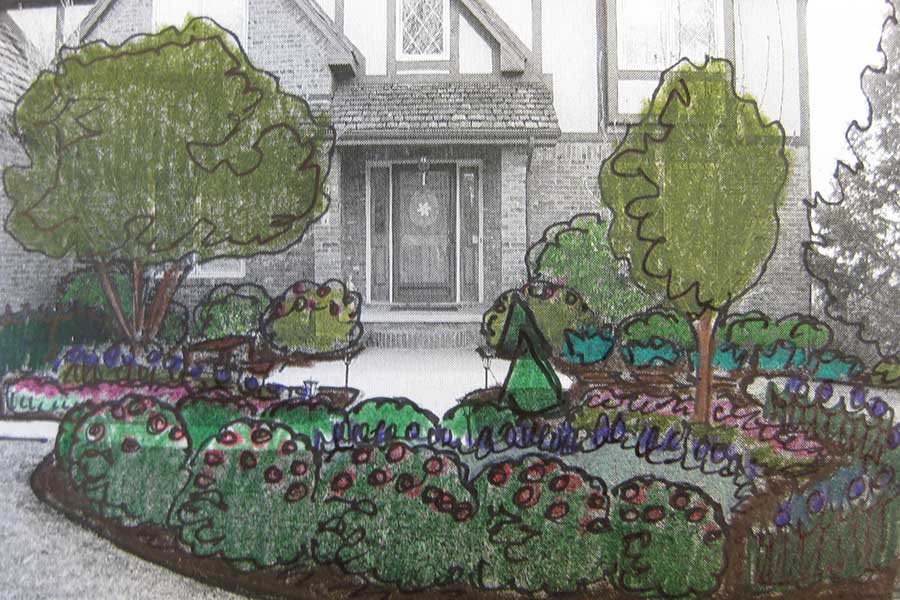 Gallery – Color Gardens